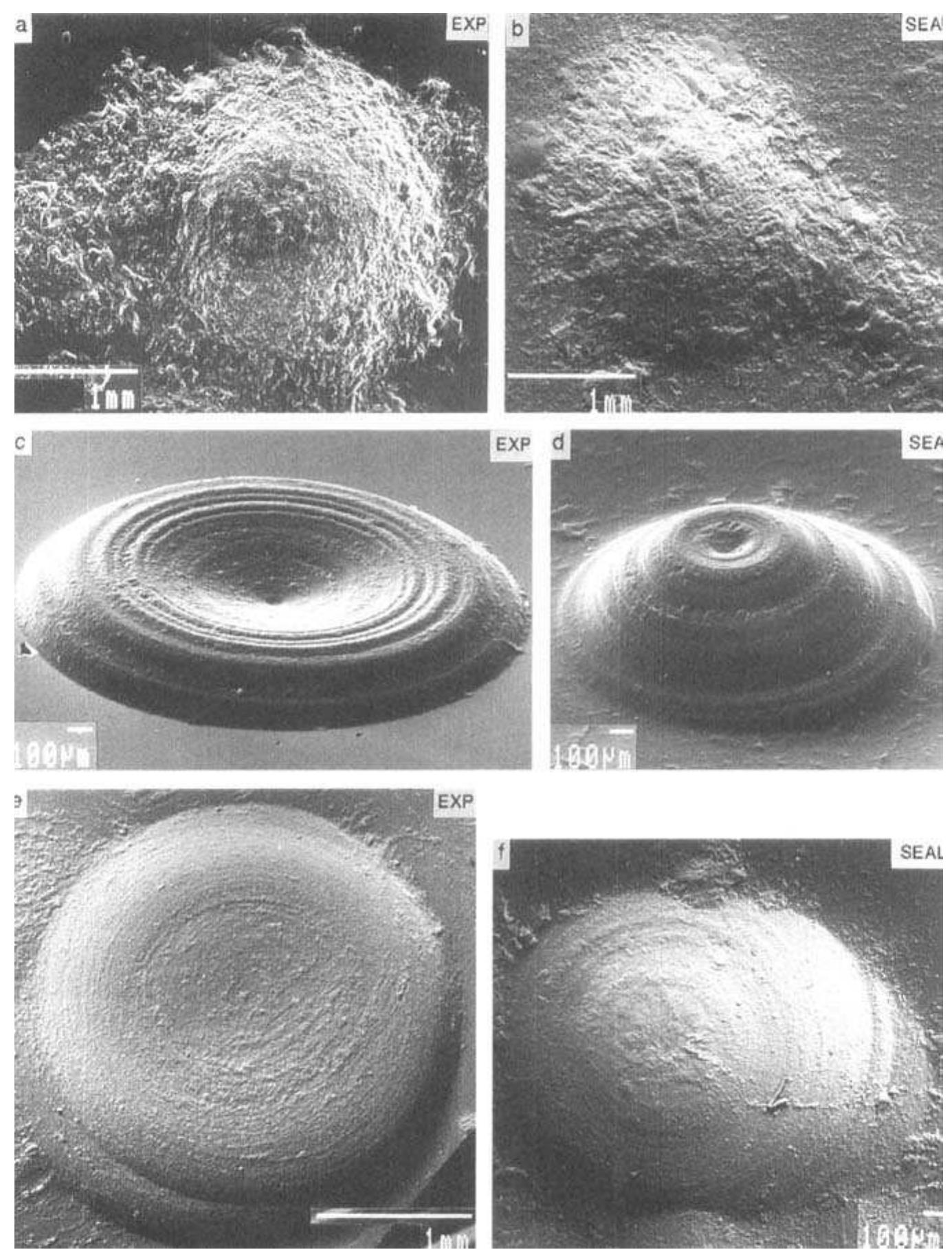 Figure 5 - METHODS OF ENGRAVING MESOPOTAMIAN CYLINDER SEALS: