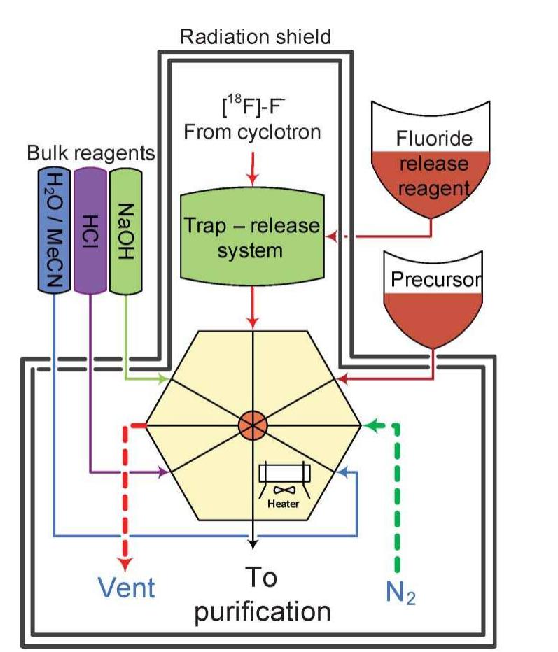 General scheme of the synthetic module. the microfluidic
