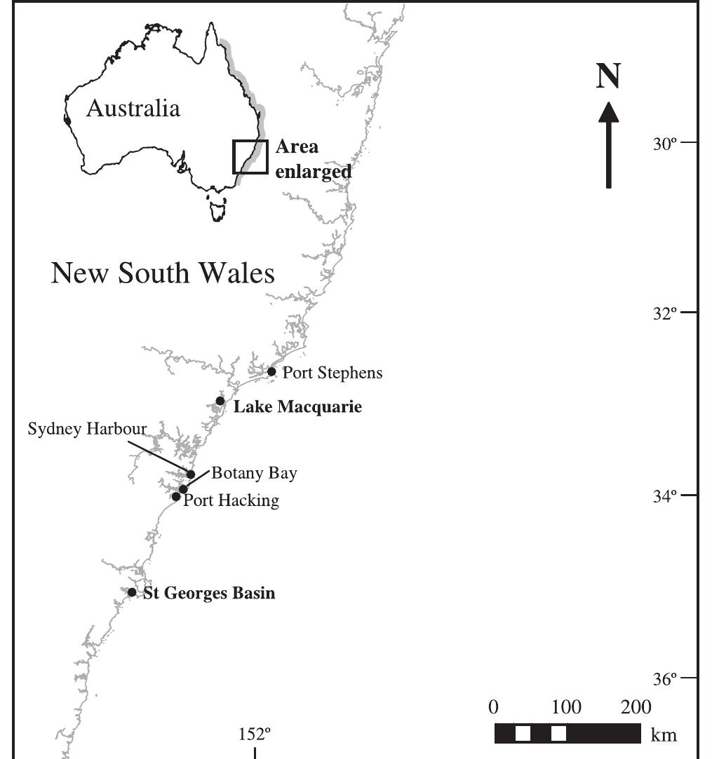 Map of australia showing approximate distribution of s. mac-