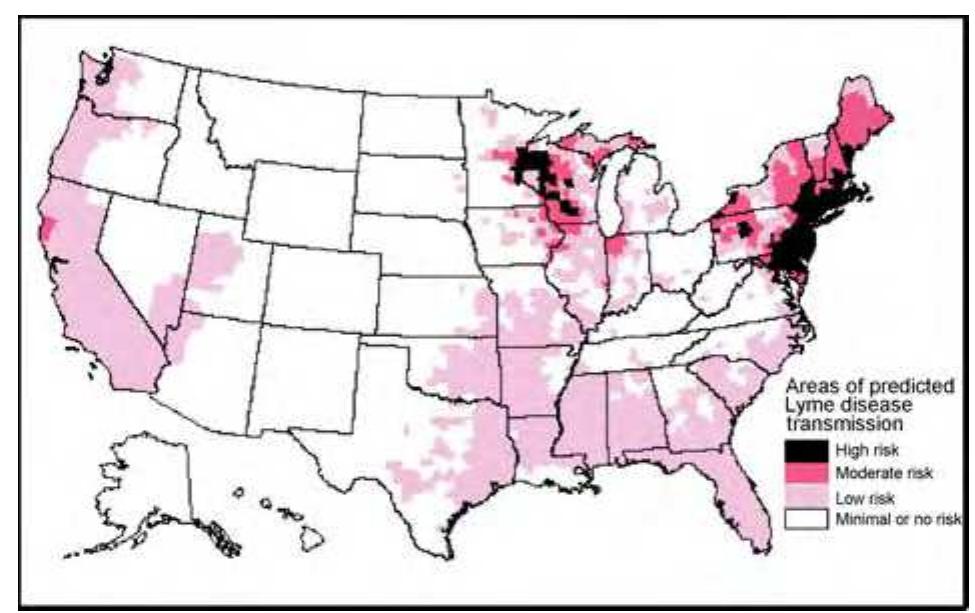 National lyme disease risk map with 4 categories of risk.