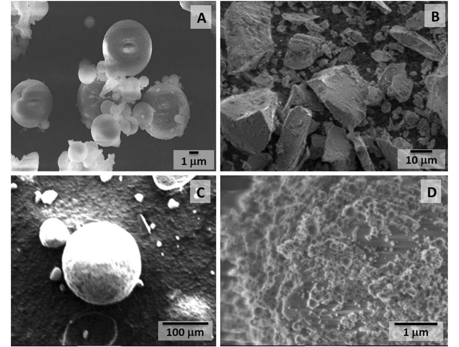 Scanning Electron Microscope Micrographs Of A Fly Ash