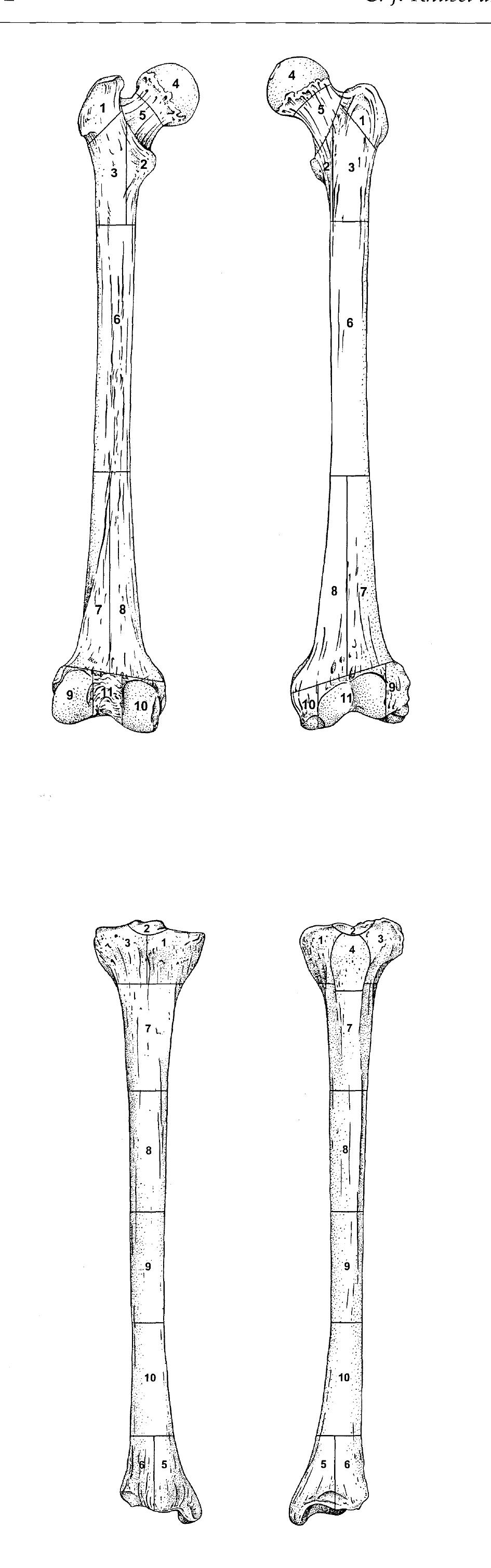 Figure 8 - Fragmentation: The Zonation Method Applied to