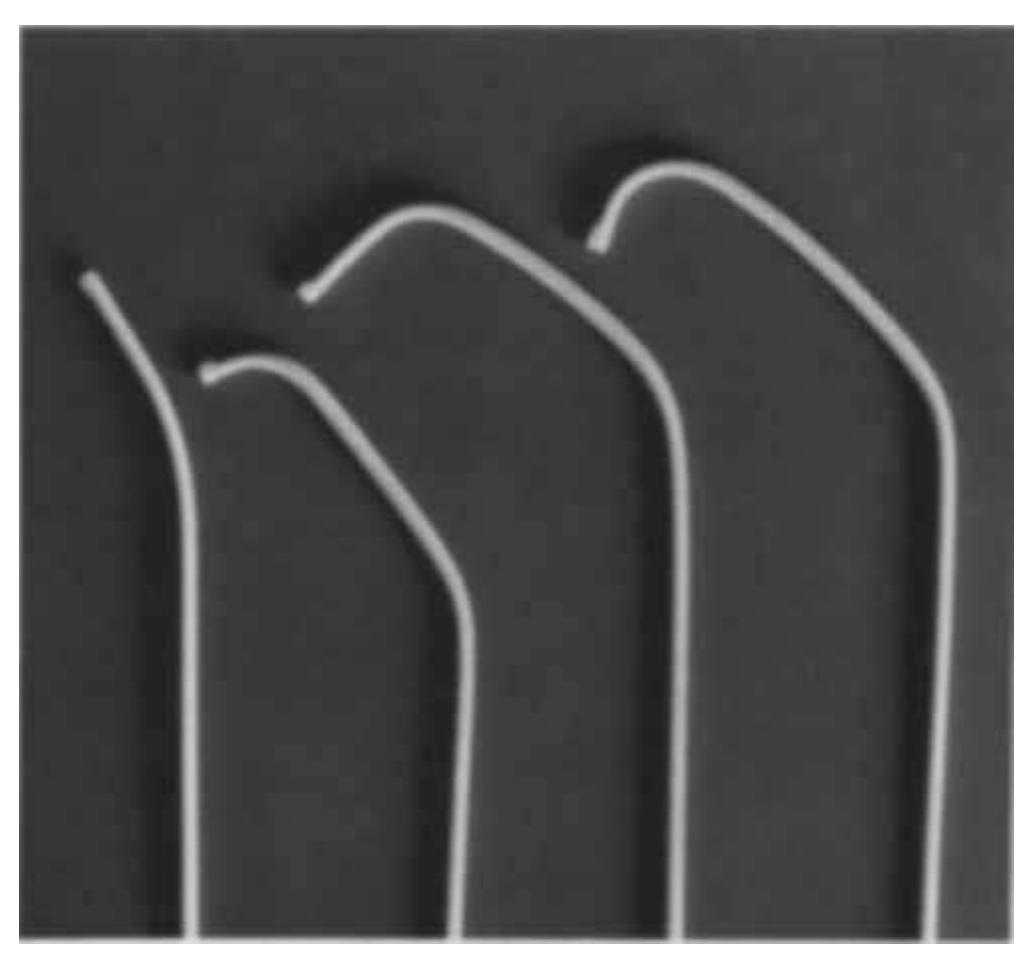 Renal angioplasty guiding catheter shapes. (photo- graph