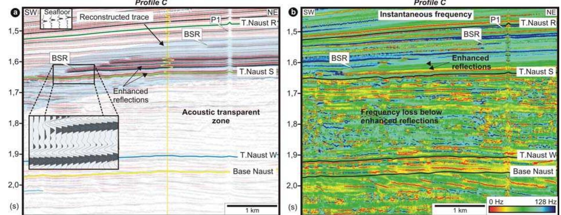 A) the seismic cross-section shows the bsr, enhanced