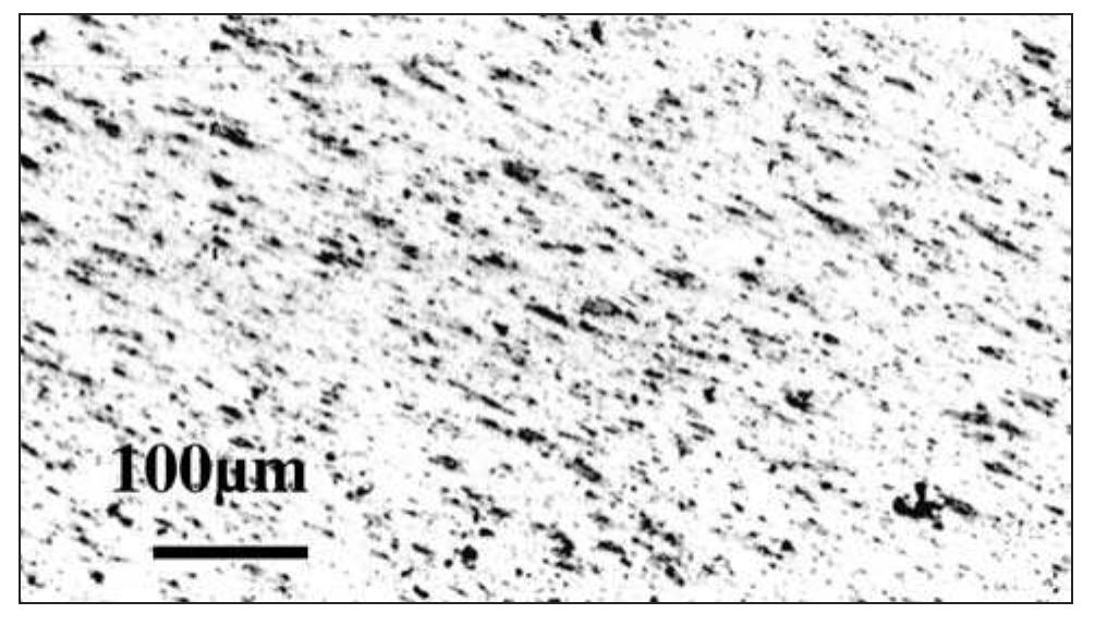 Metallographic section of the as-cast grid of the