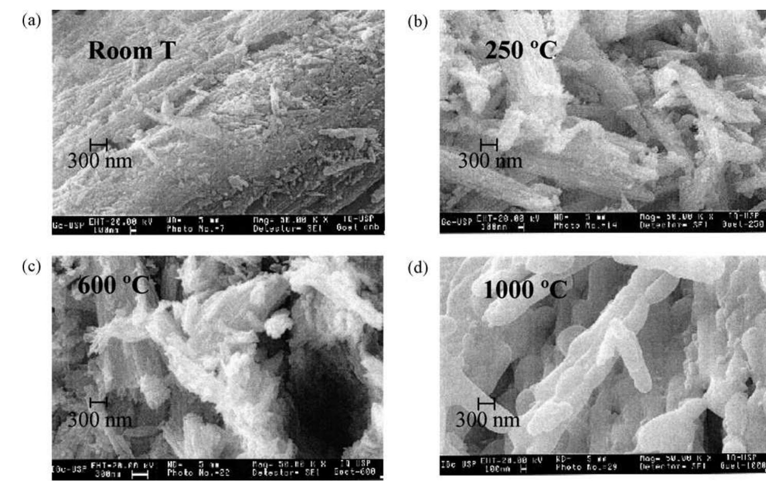 Sem micrographies from goethite heated at the indicated