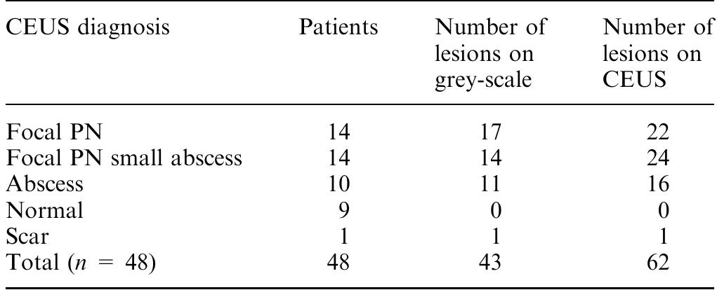 Ceus types of renal parenchymal lesions results