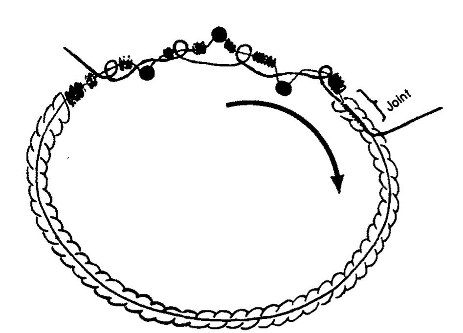 Schematic illustration of the architecture of the 3-stranded