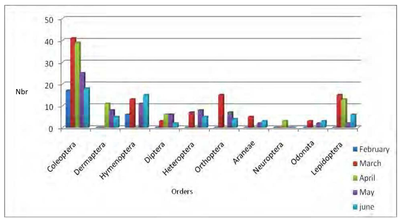 2. insects distribution during month’s survey. figure 35.