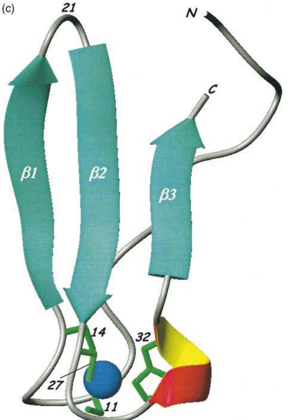 (a) aligned subset of known l36 sequences identified by
