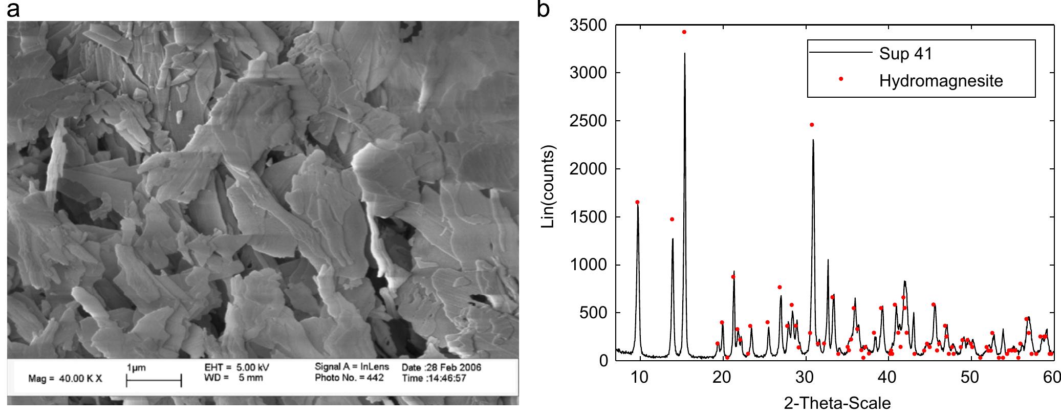 Typical sem image and x-ray diffraction pattern for the