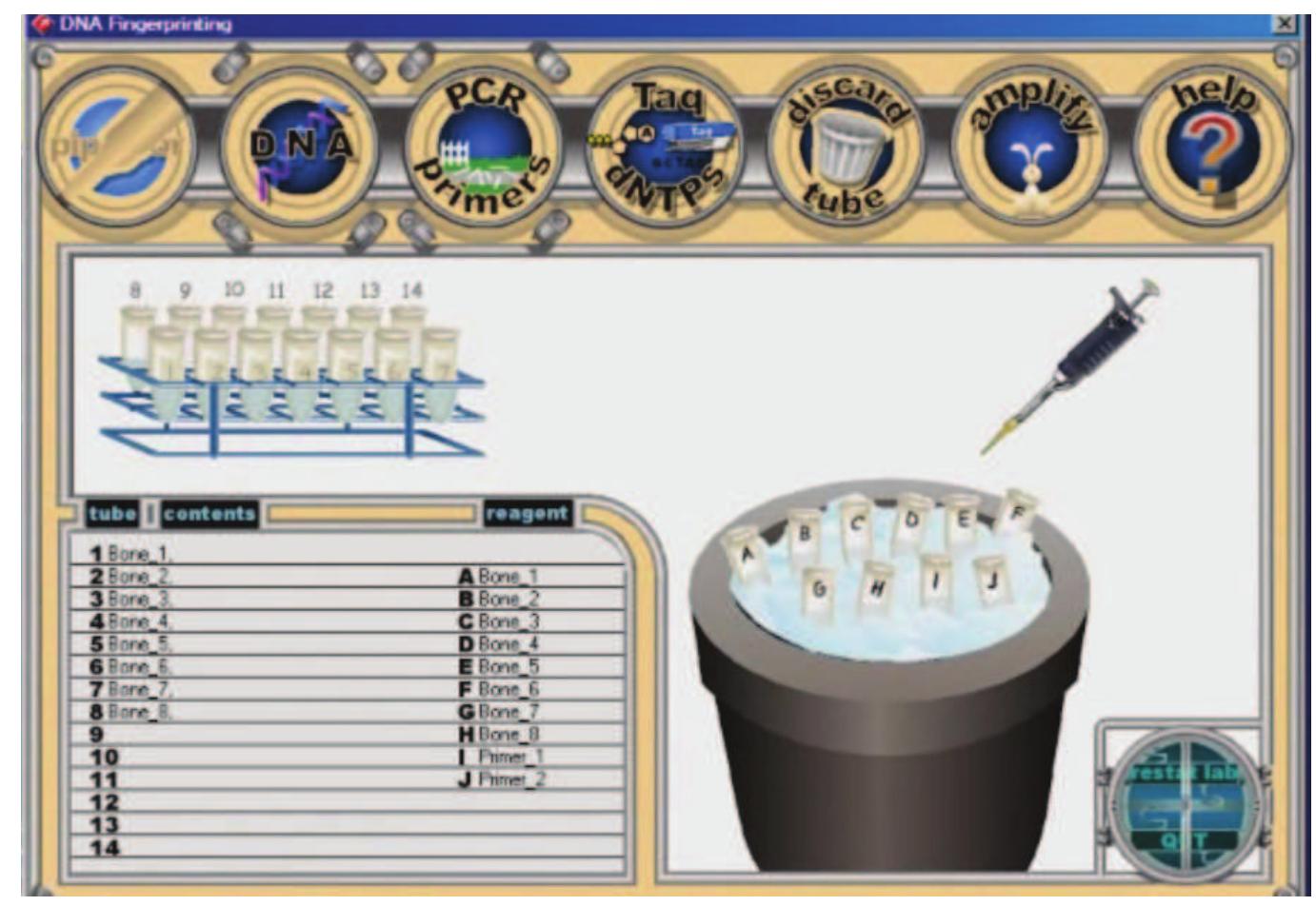An [lab® simulation on dna fingerprinting.