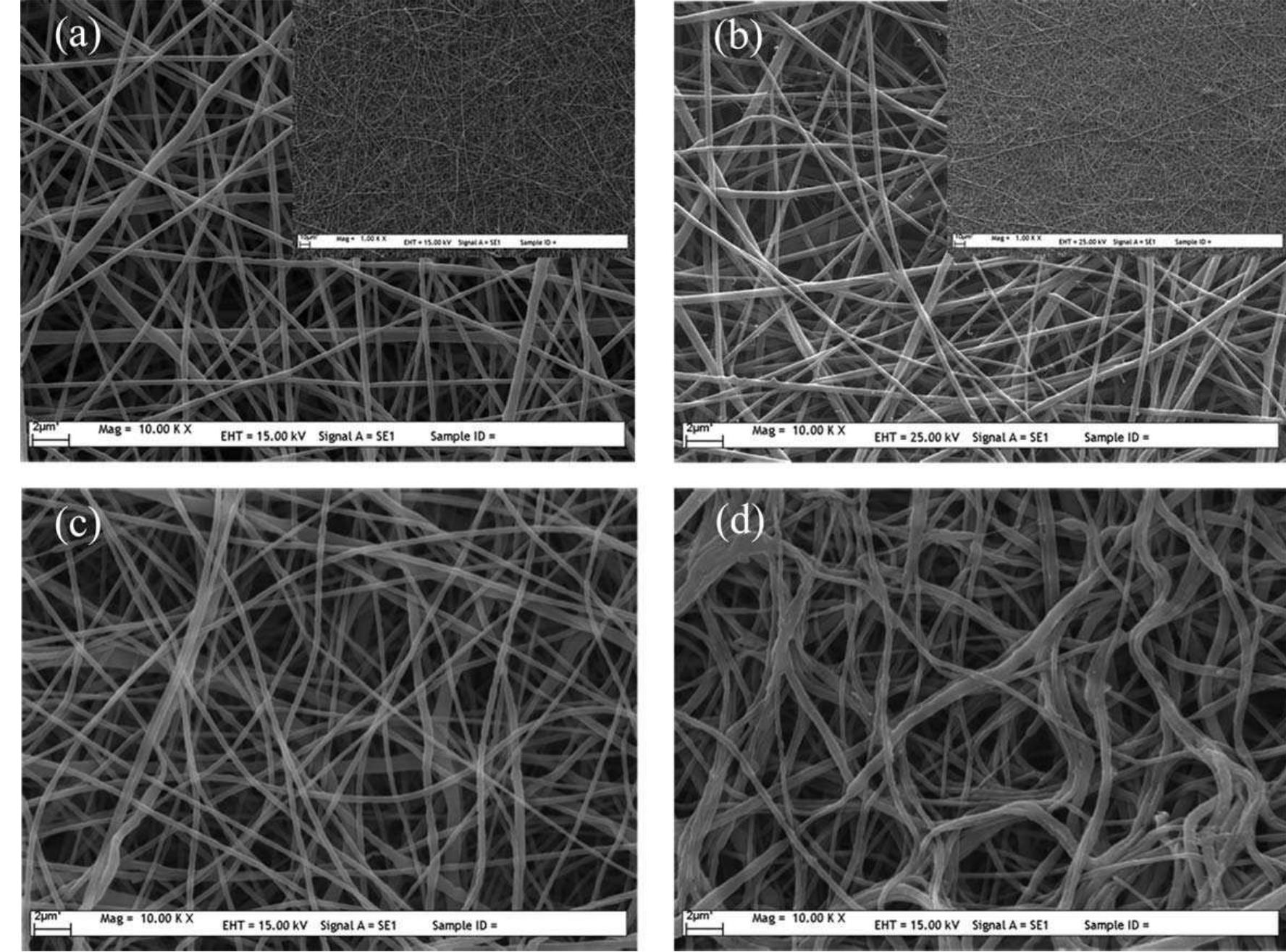 Sem images of electrospun (a) pcl and (b) pcl/collagen