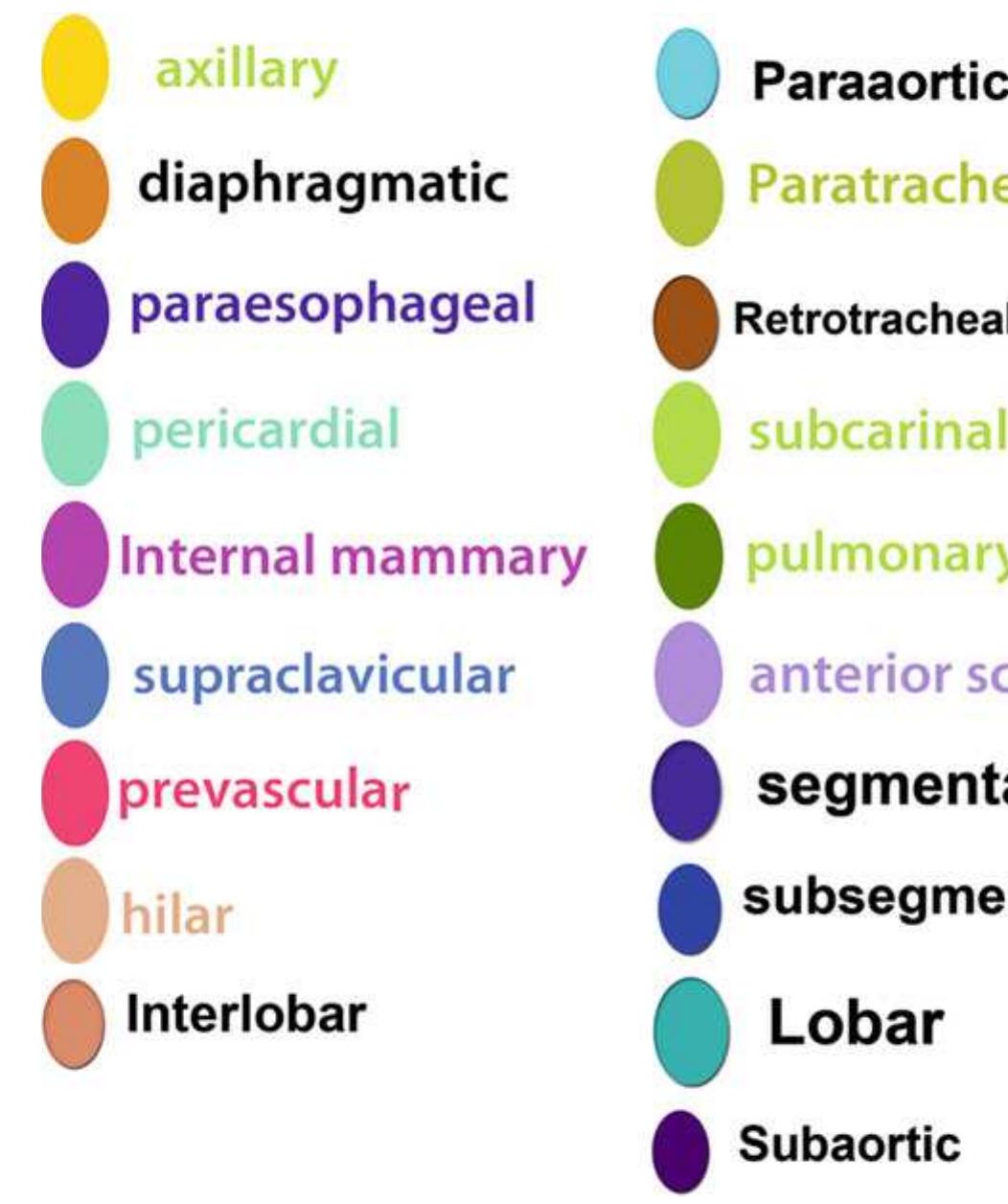 43 diagram showing the color-coding scheme used to identify