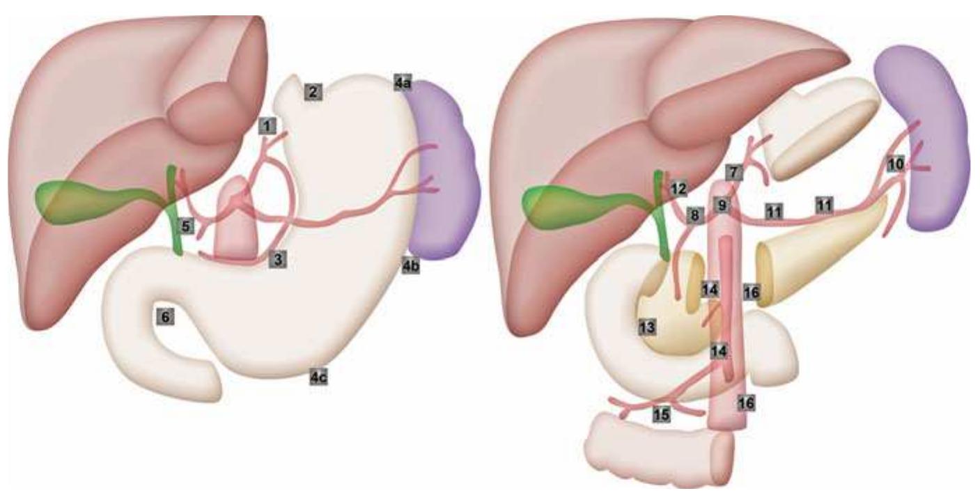 9 the jcgc classification for perigastric lymph nodes. group