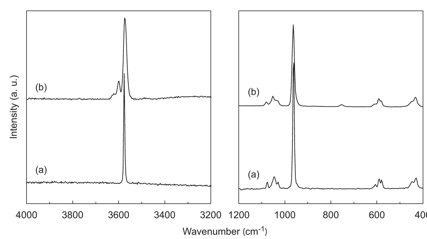 Ft-raman spectra of (a) hydroxyapatite and (b)