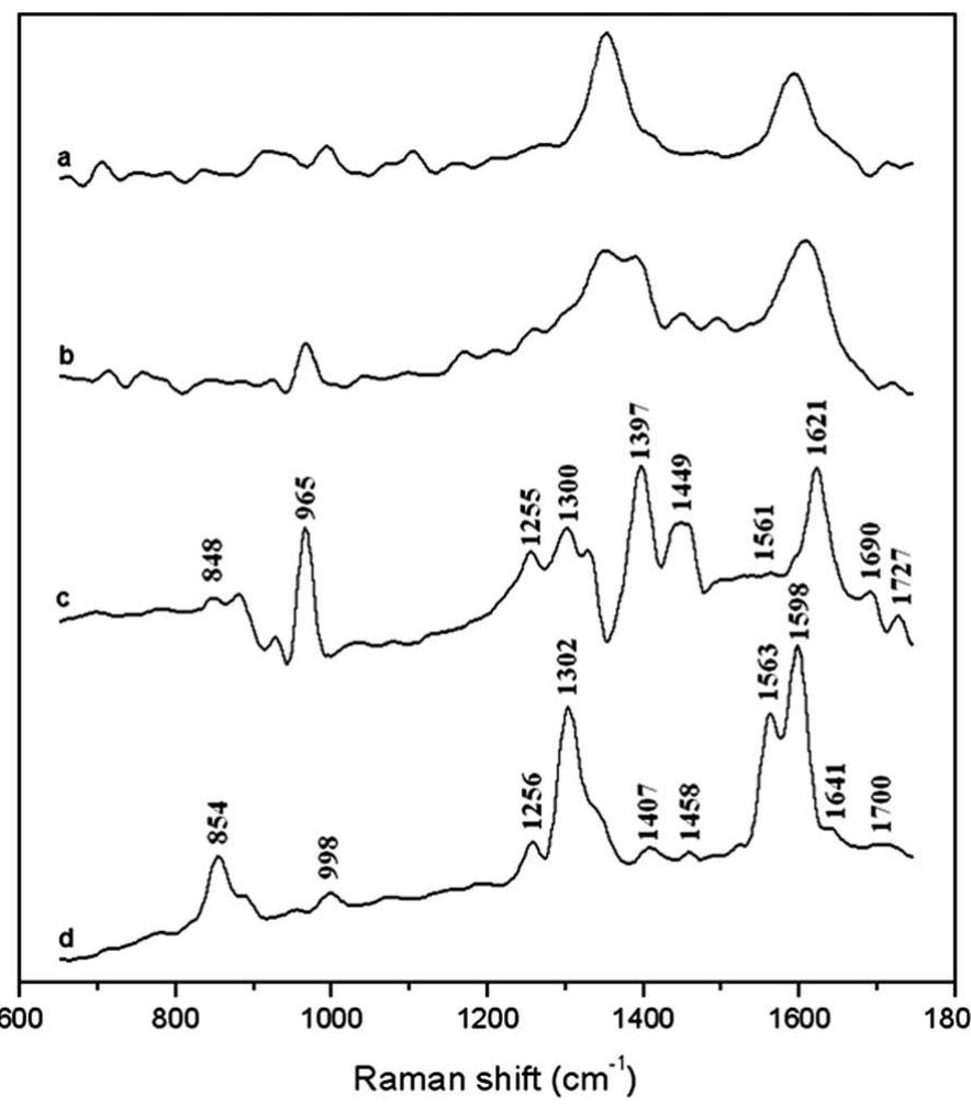 Raman spectra of a) bare gc, b) bg modified gc, c)