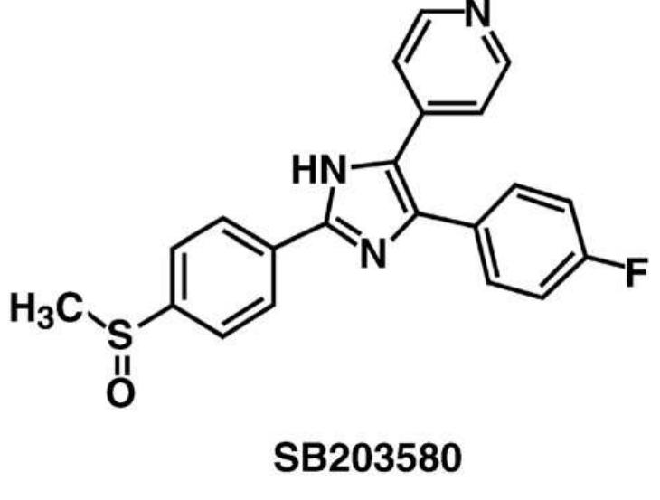 Chemical structure of sb203580.