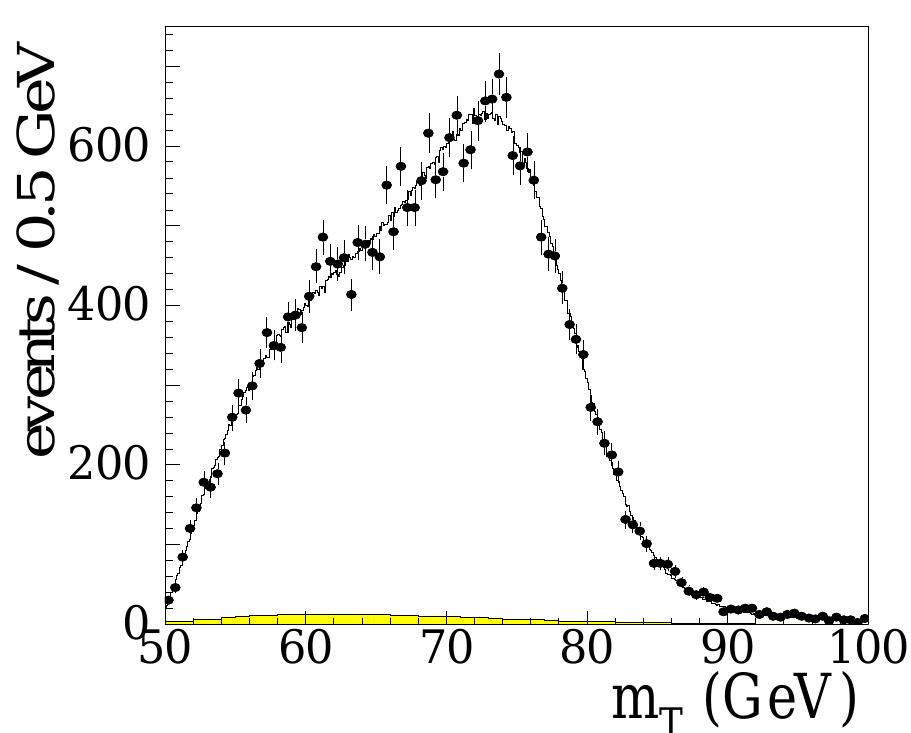 Transverse mass distribution for w — ev from the d@