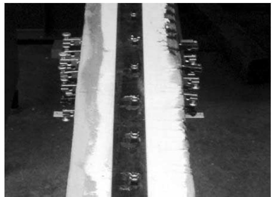 Measurement of lamella deflection the measurement of the