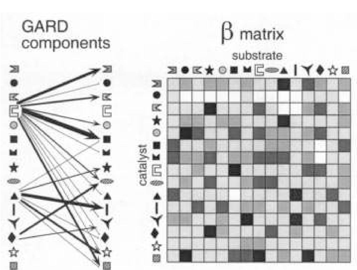 A. the different molecules ina gard system may have varying