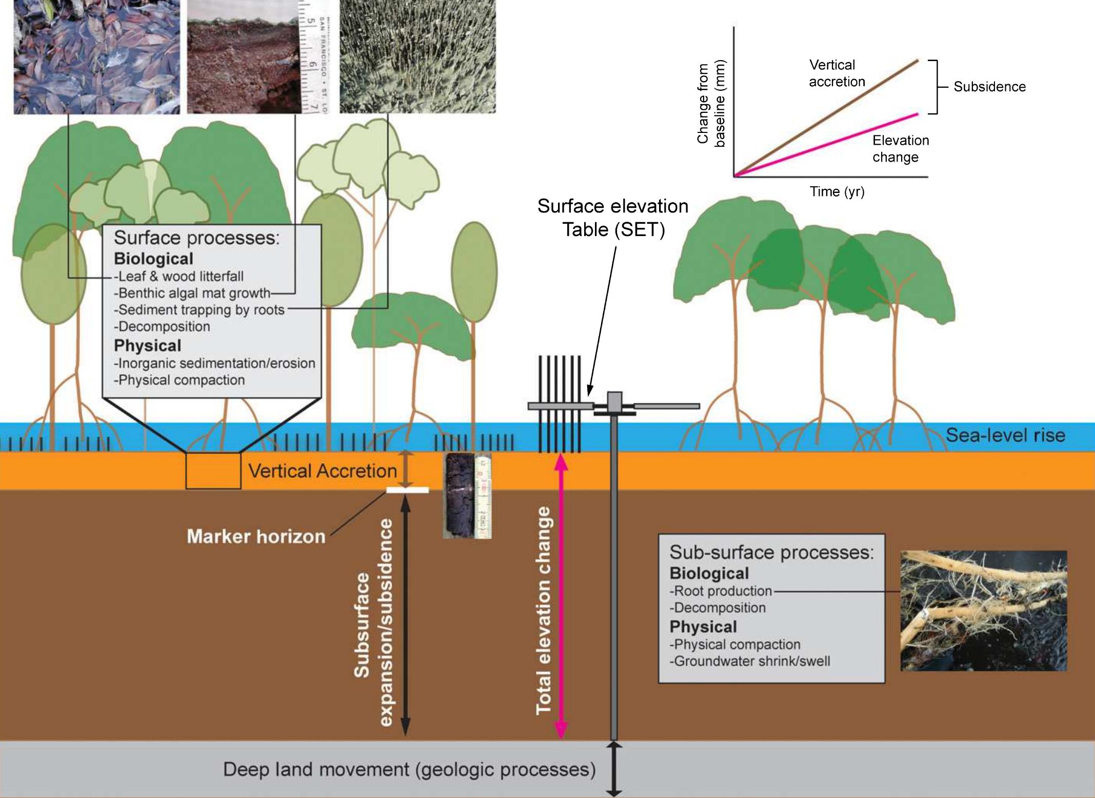 Illustration (not drawn to scale) of how elevation change is