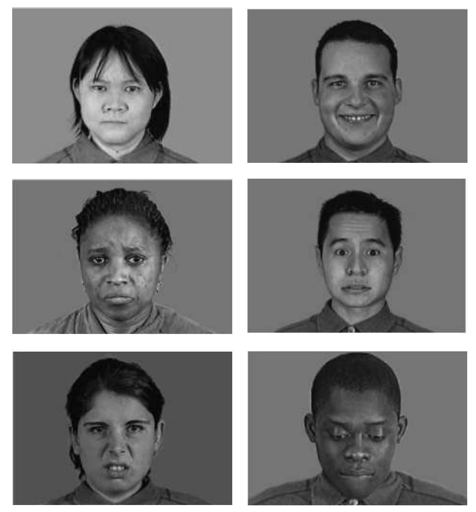 Examples of facial displays of emotion from the montreal set