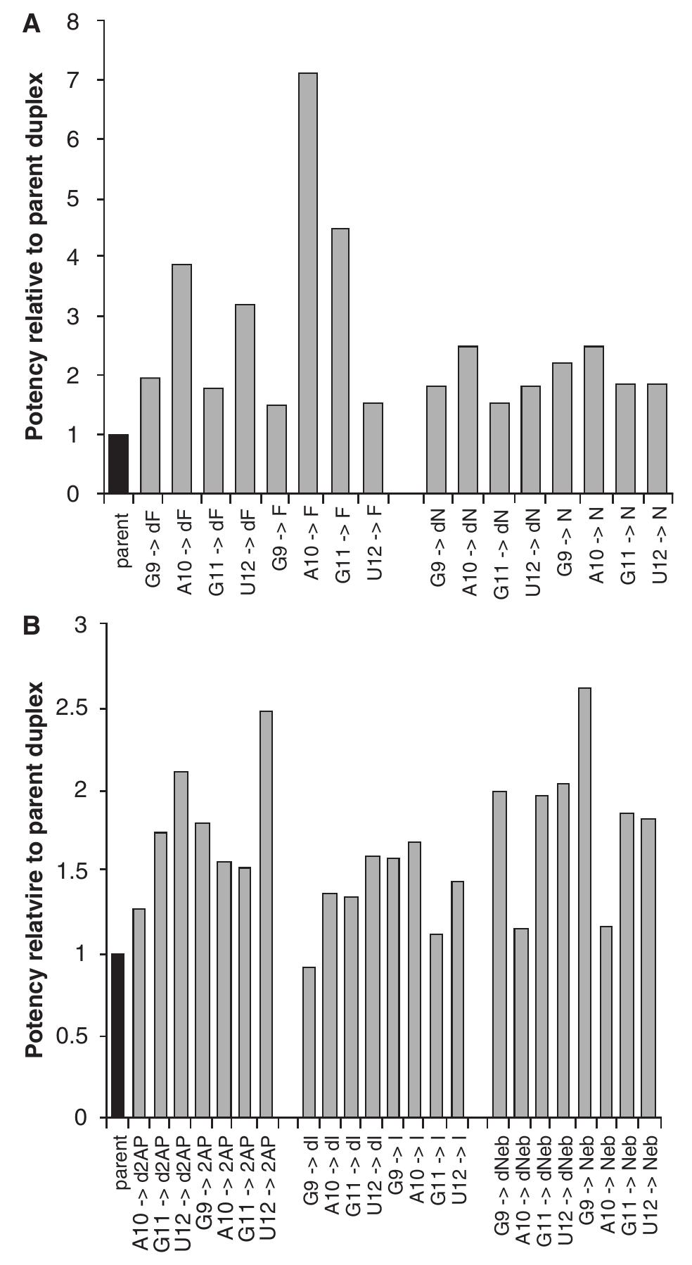 Effect of nucleobase modifications in positions 9-12 of the