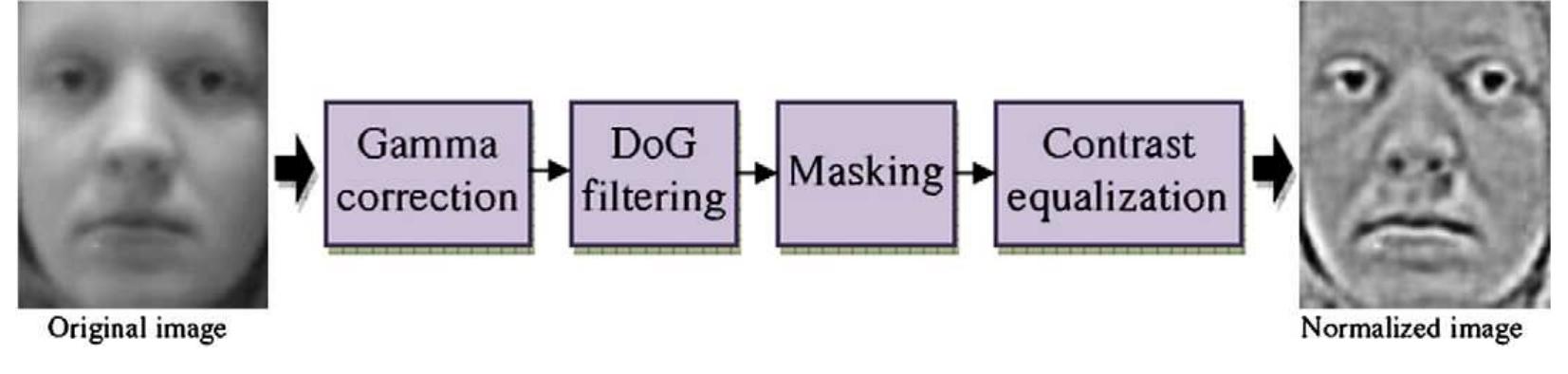 Illumination normalization process.