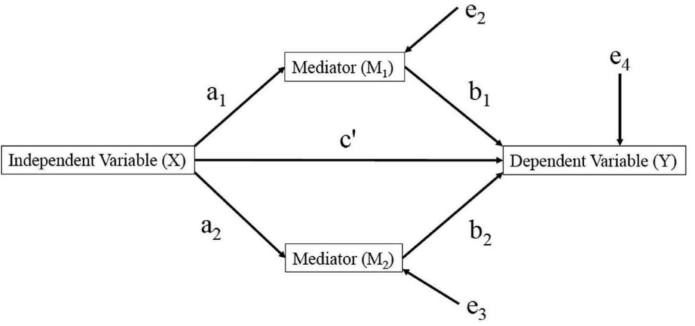 A multiple-mediator reference model. panel b: conceptual