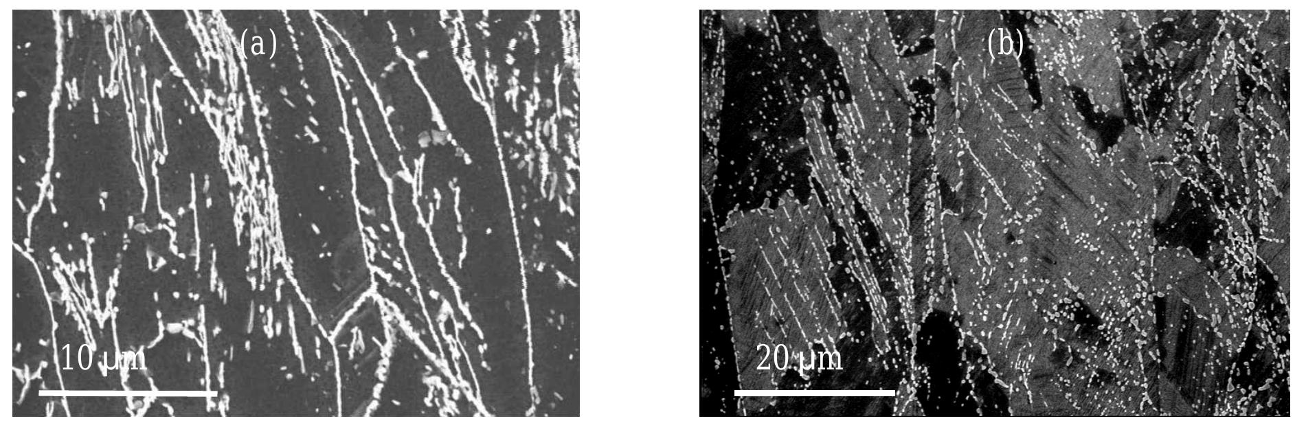 Microstructure Of Steel A After Cold Rolling And Annealing