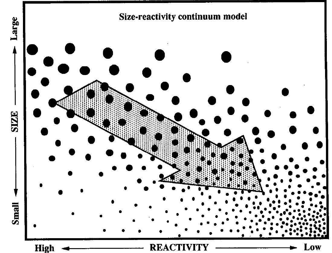 Schematic diagram of the size-reactivity continuum model for