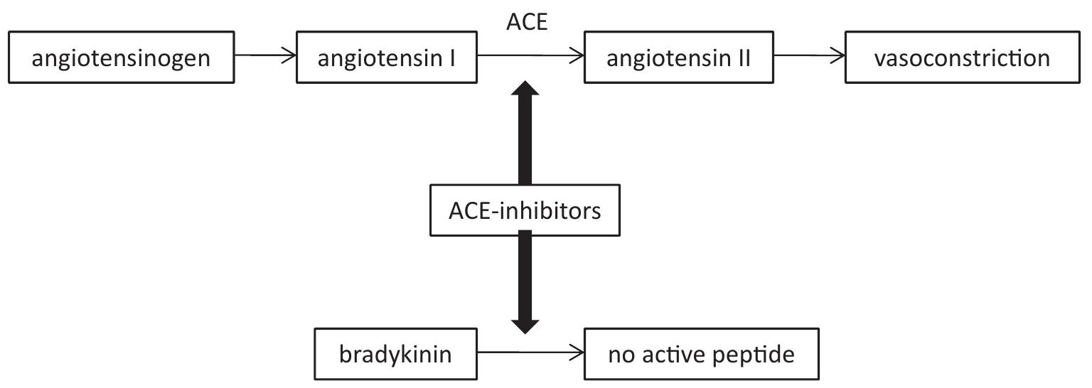Schematic mechanism of action of angiotensin converting