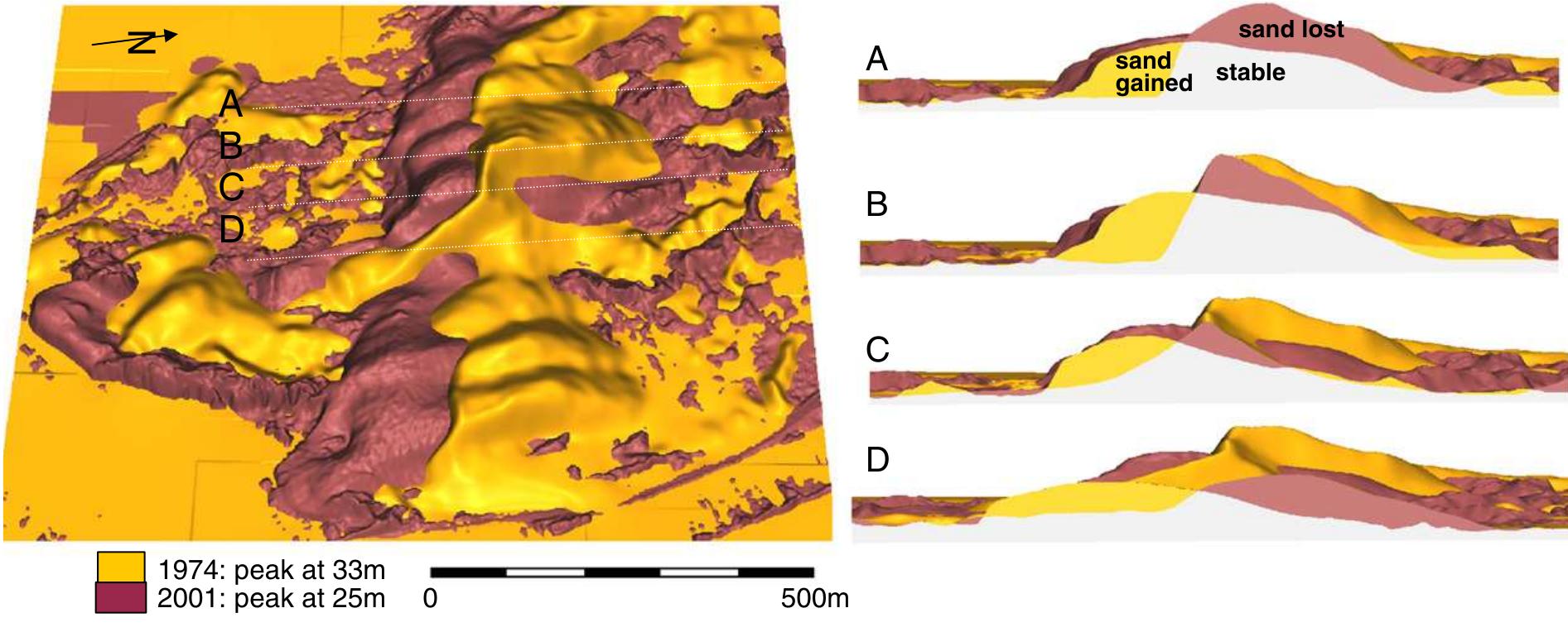 Elevation surfaces overlay and cross-sections: jockey ridge
