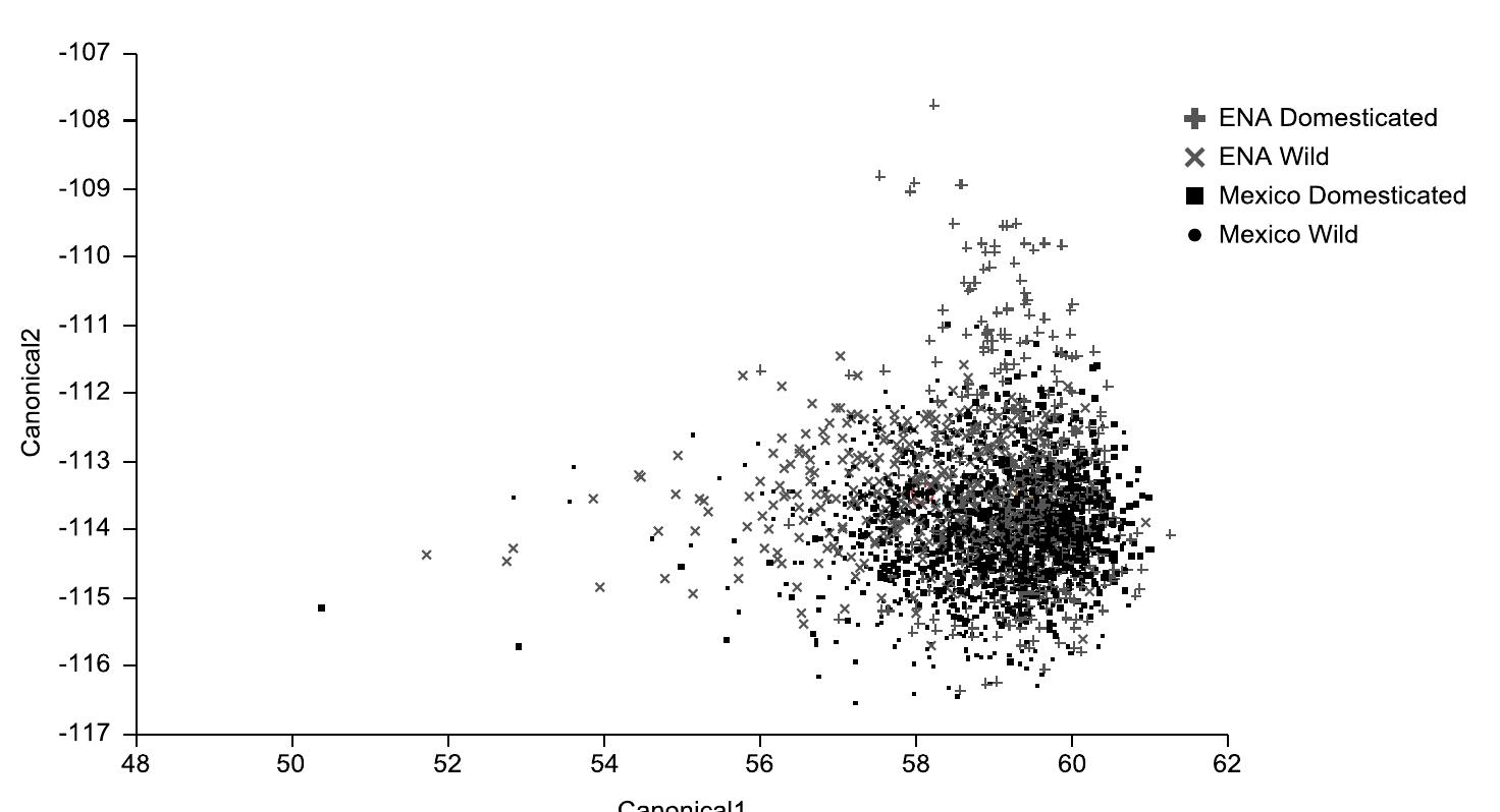 Discriminant function analysis (dfa) of shape parameters. no
