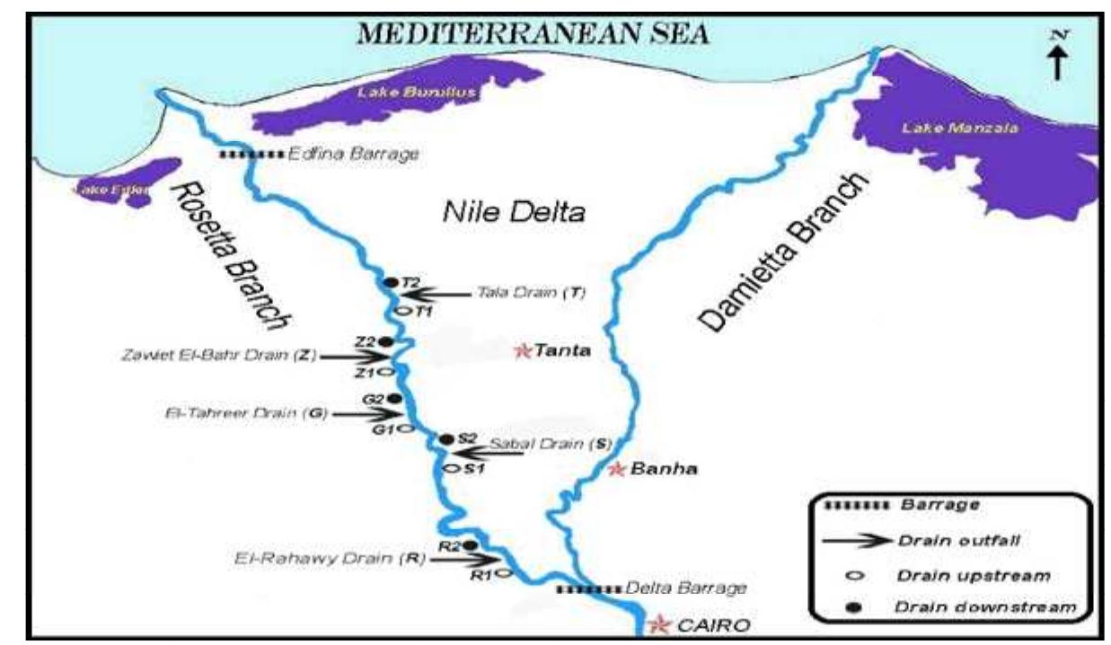 Map of sampling locations (drains and rosetta branch)