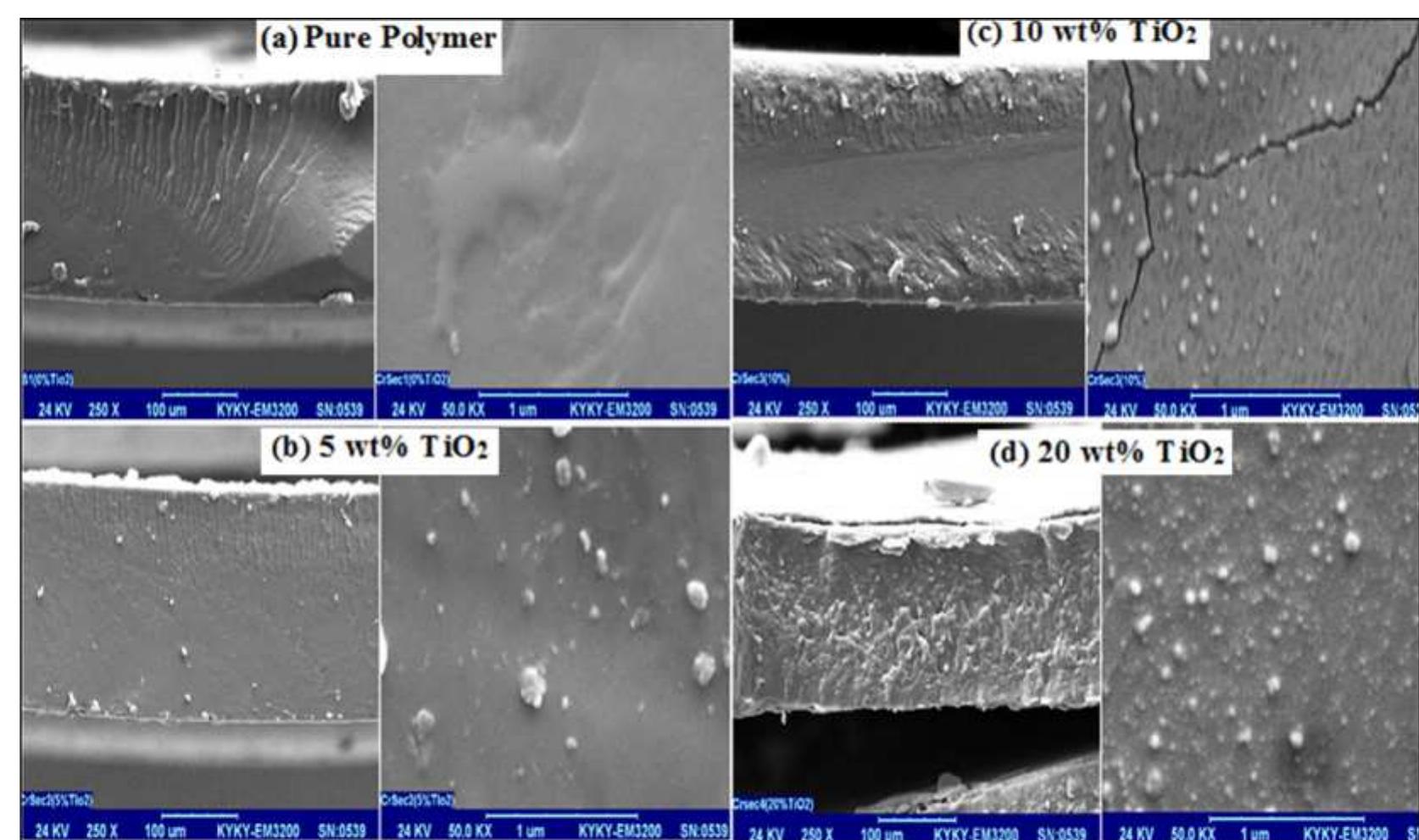 Sem images of the cross section of polyurethane and hybrid