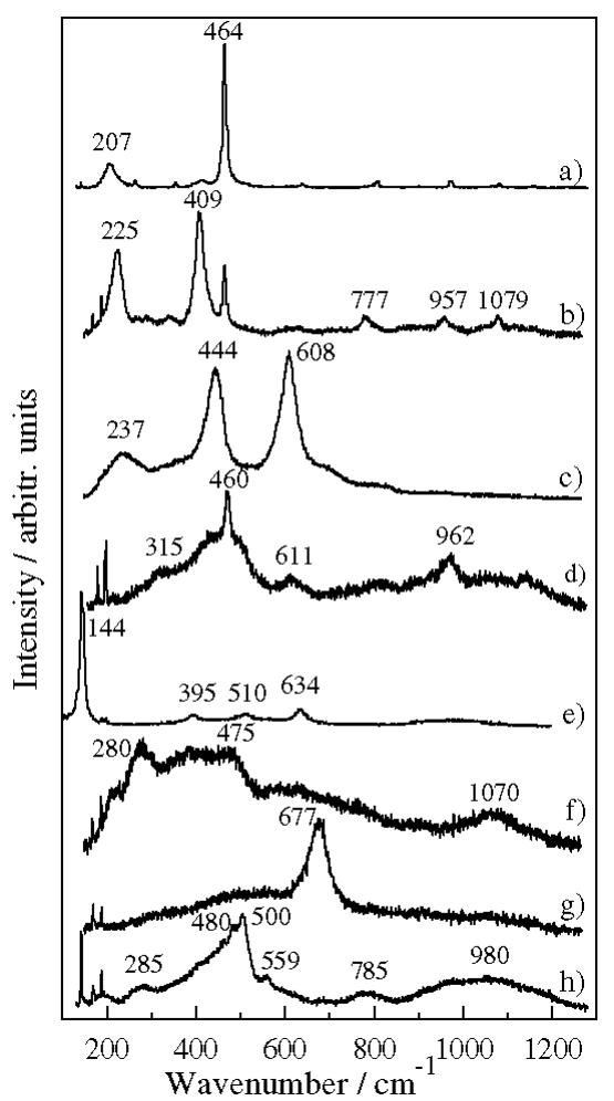 Micro-raman spectra showing the different phases: (a)