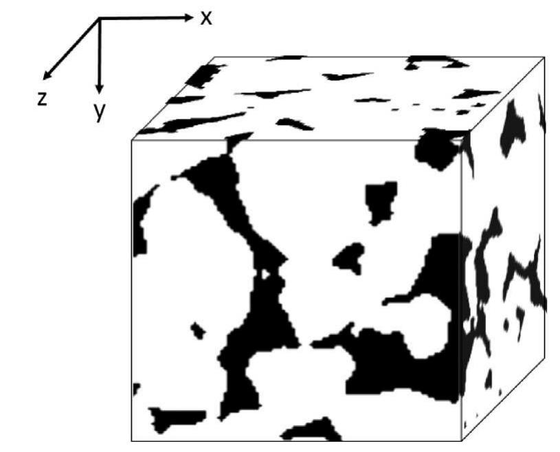 3d view of one sample of berea sandstone reconstructed using