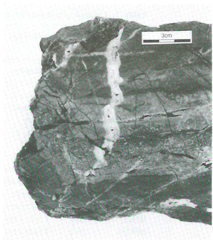 Sandstone with tuff band (t) showing three generations of