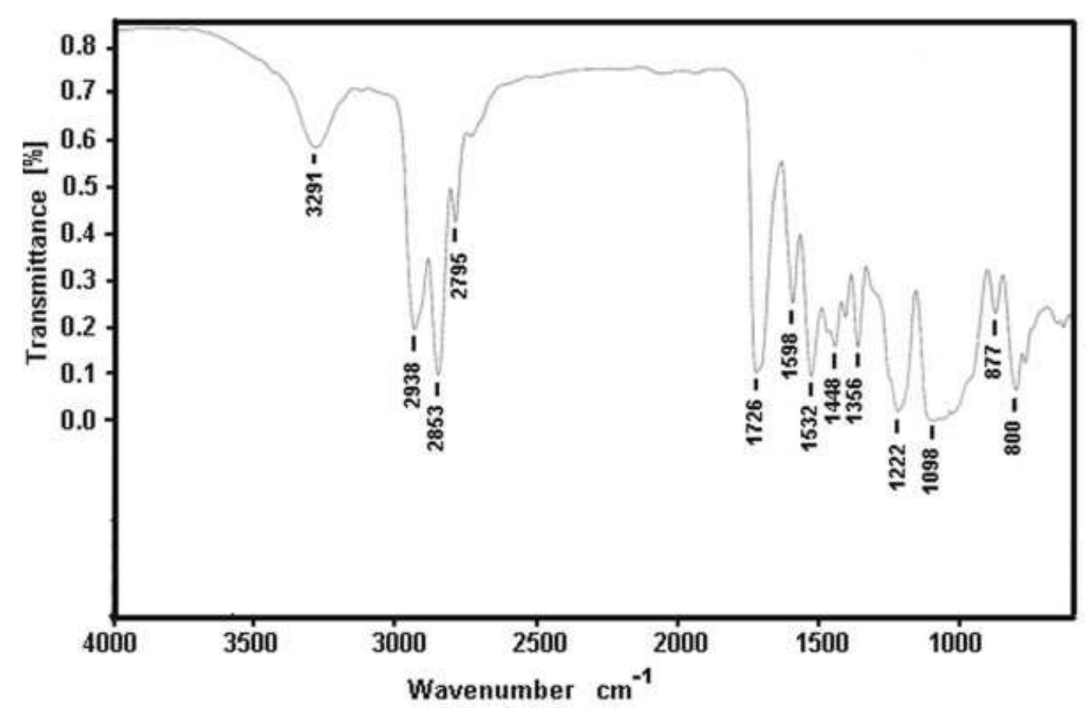 Ir spectrum of polyurethane ionomer.