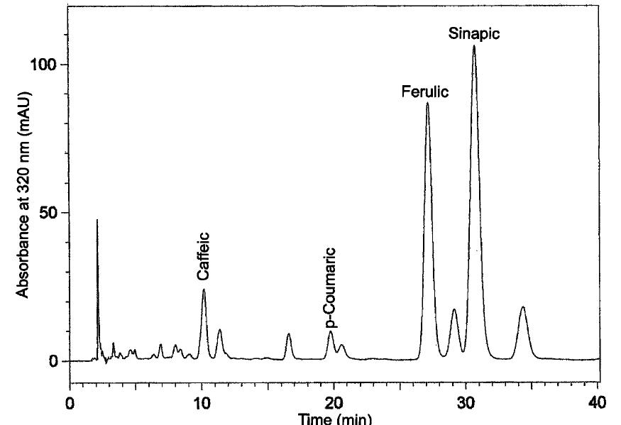 Typical hplc chromatogram of phenolic acids recorded at 320