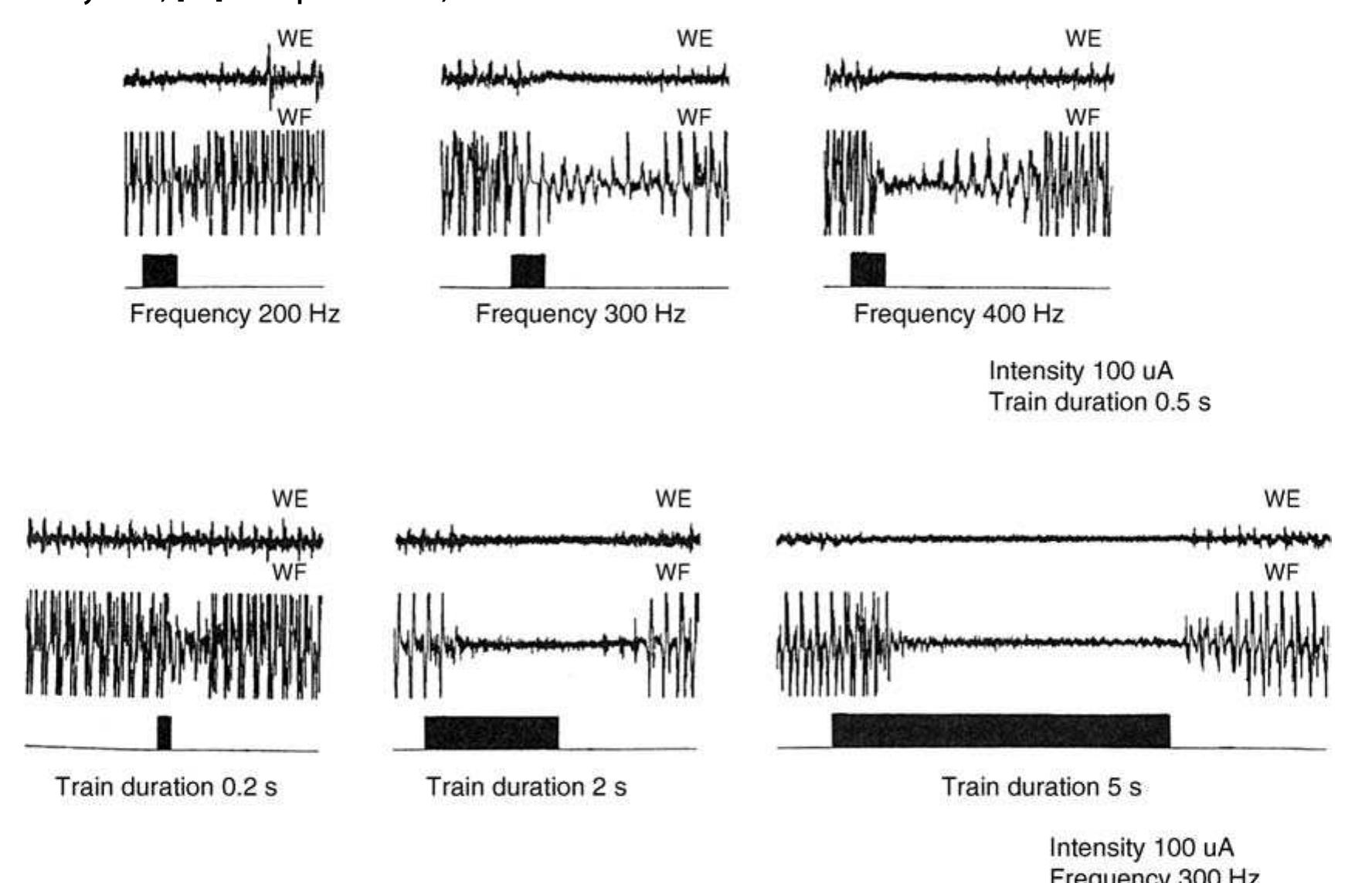 Medial forebrain bundle, tectospinal tract, and