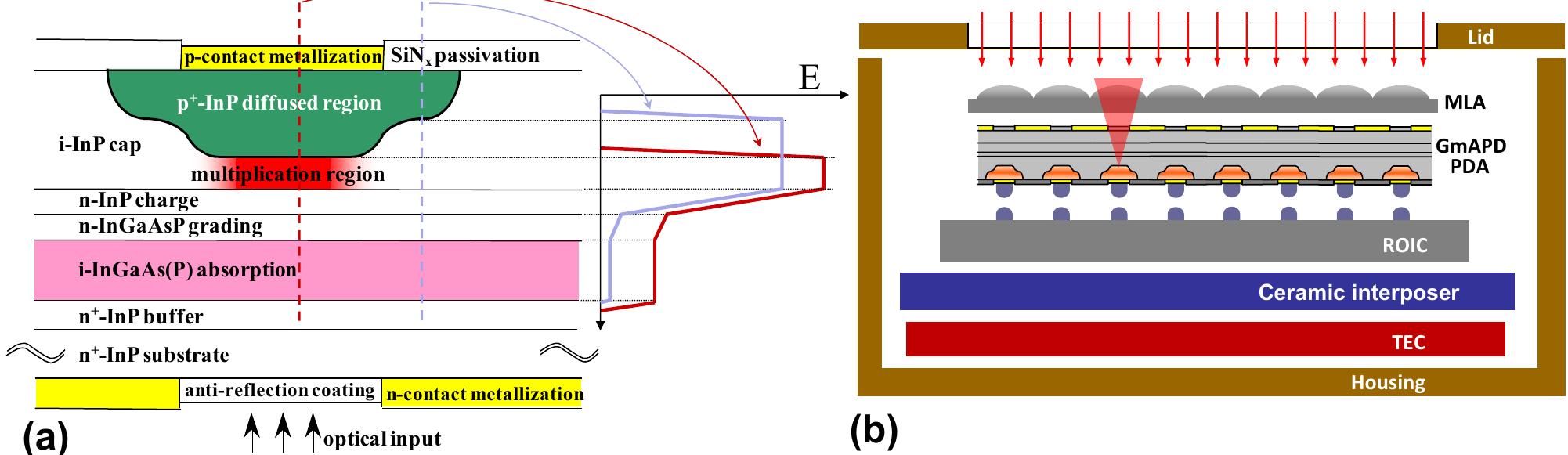 A Schematic Cross Section Of A Planar Geometry