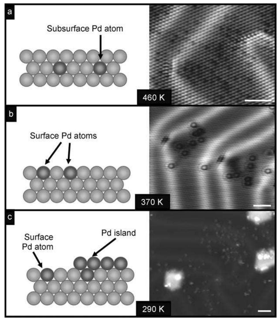 Stm images and corresponding side-view schematics of the