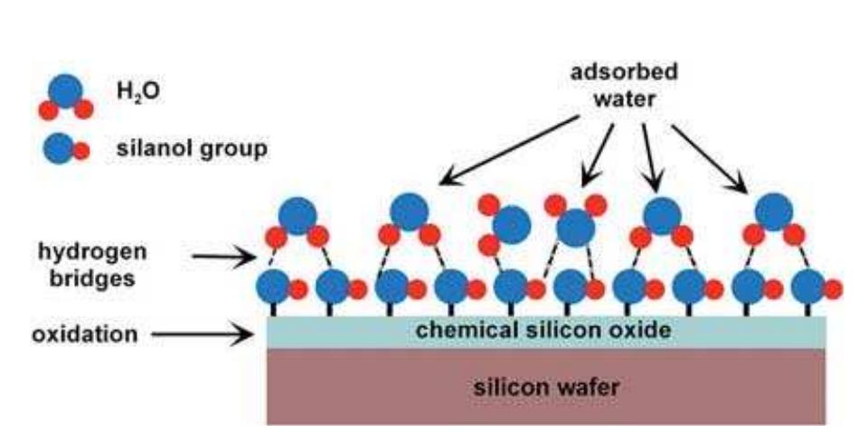 Schematic of a hydrophilic oxidized silicon wafer surface