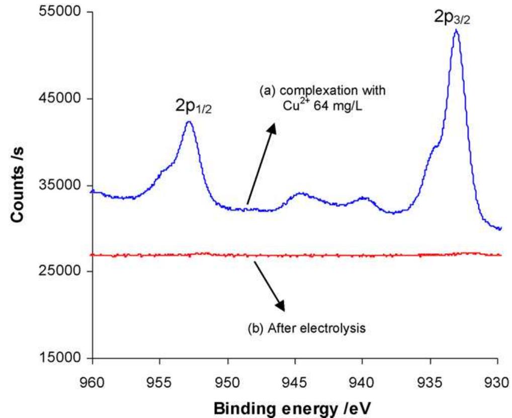 Xps spectra of a paa-grafted gold substrate accumulated cu2*