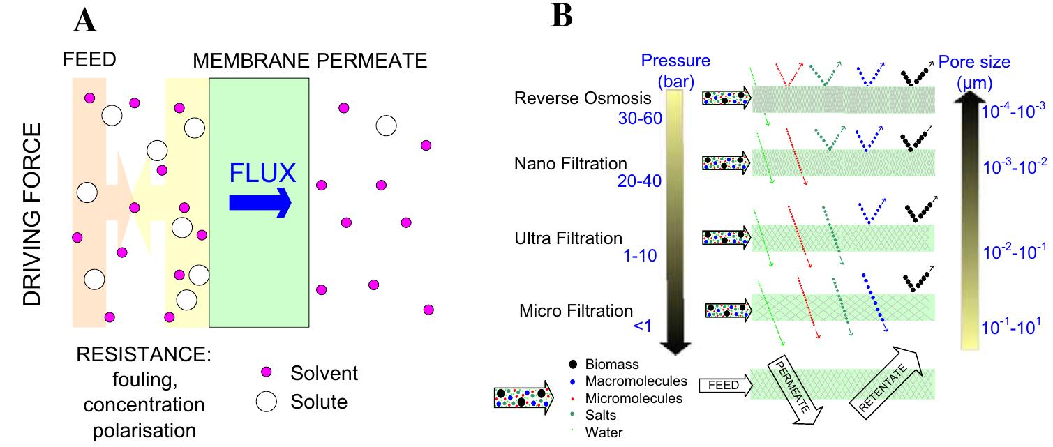 (a) basic scheme of a membrane filtration process and (b)