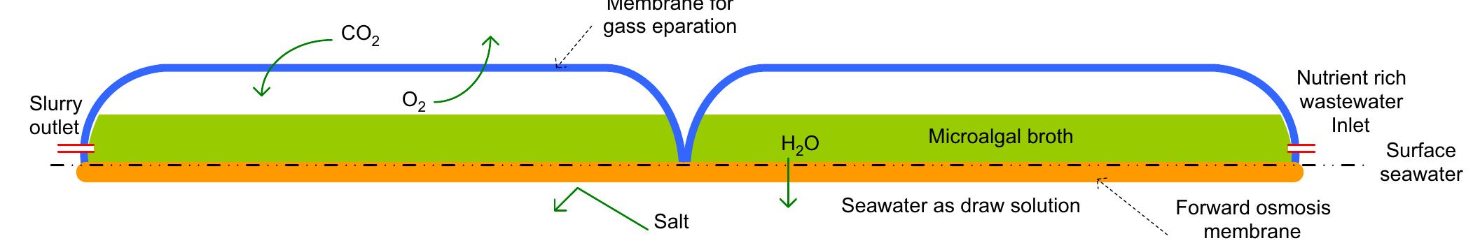 Schematic of the offshore membrane enclosure for growing