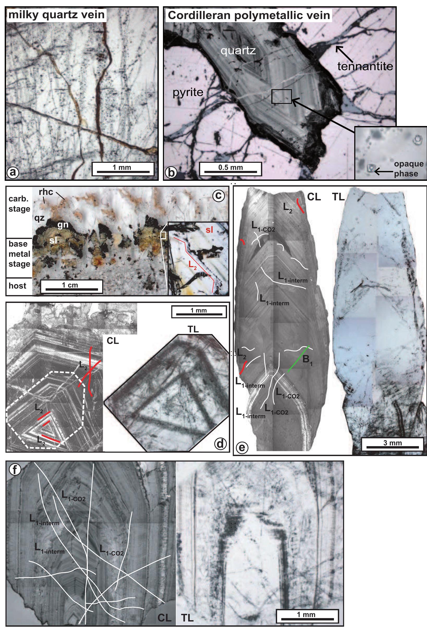 Fic. 4. hydrothermal quartz textures: (a) transmitted light